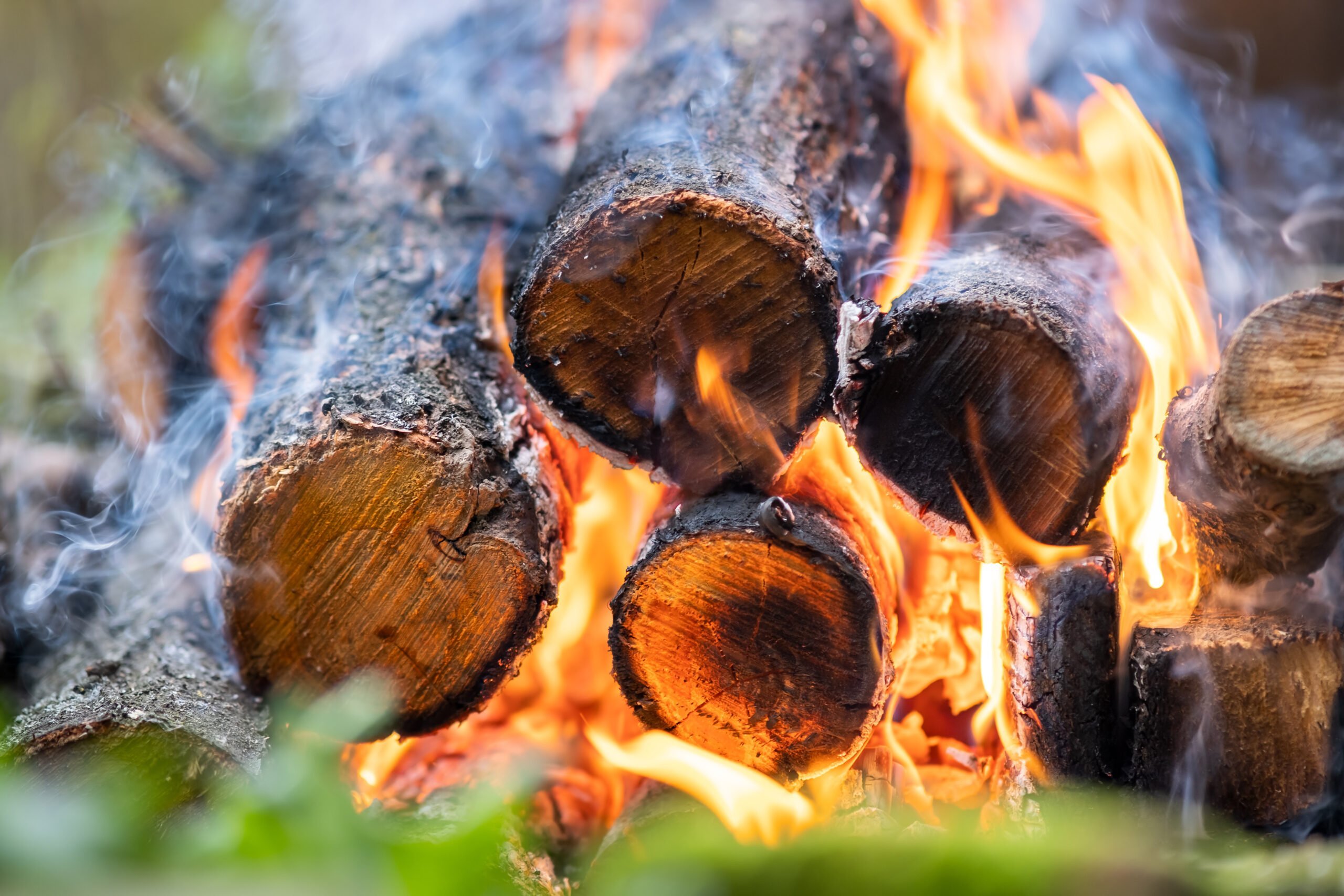 Metsä ja turve energiakriisin vastauksina - Kiuruvesi-lehti