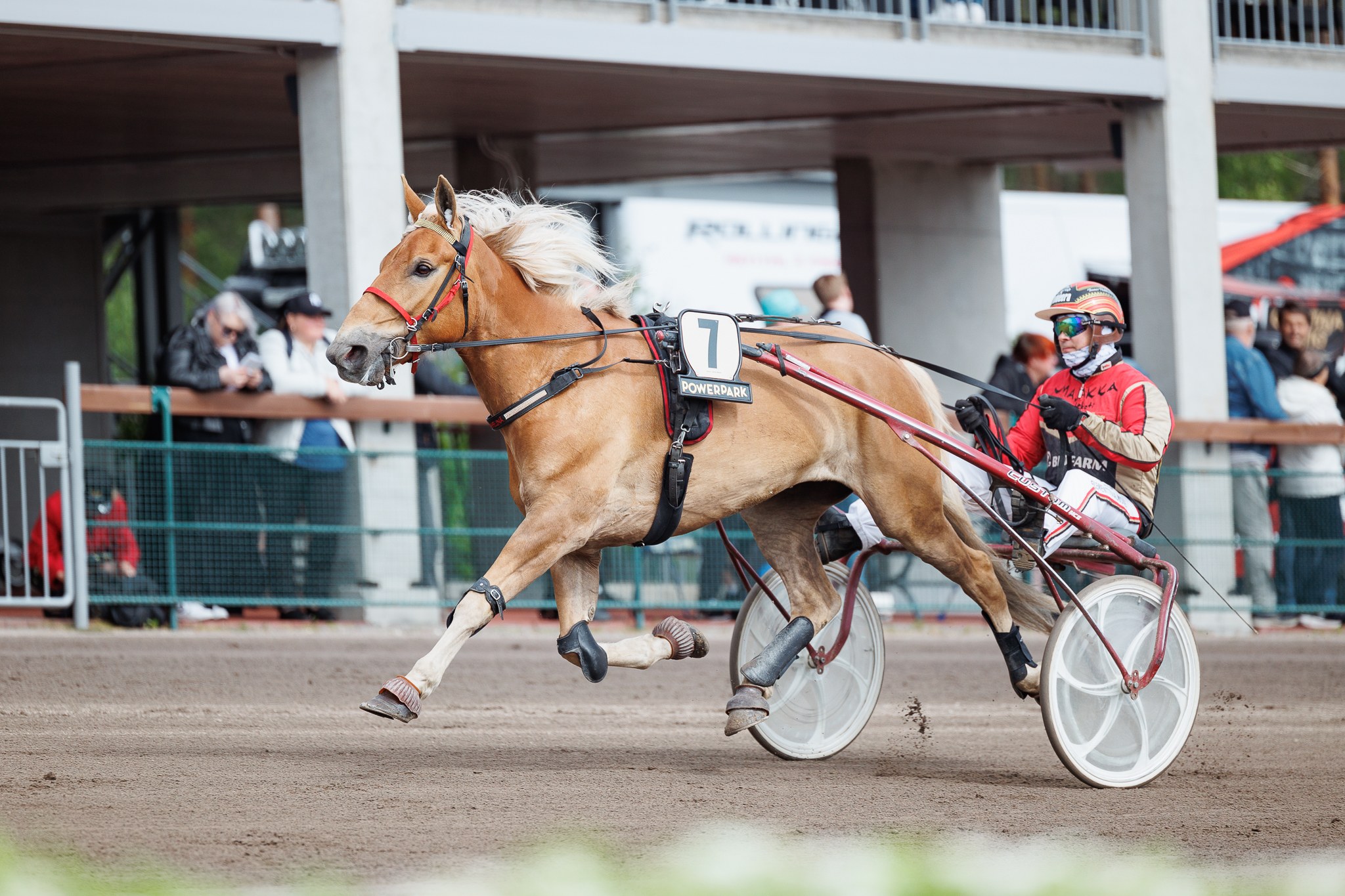 Kuninkuusravien pääkilpailujen osallistujat on valittu – Tuomas ...