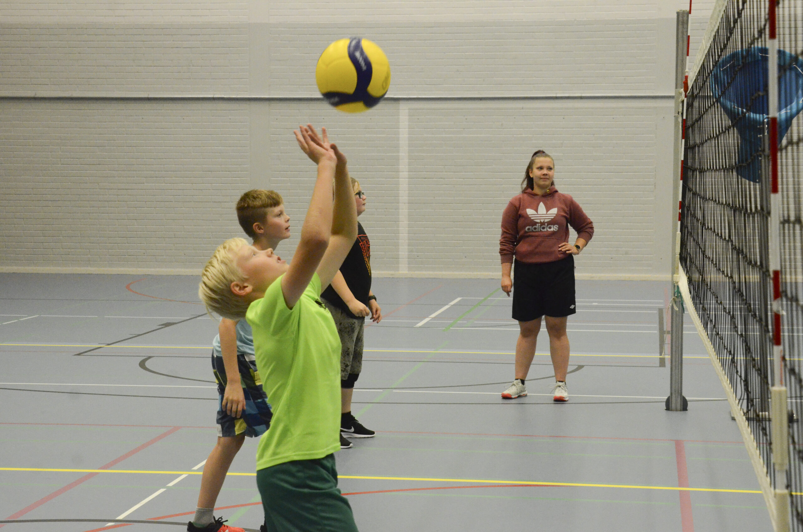 Luomu-Wolley piti vuosikokouksensa – seuralle valittiin uusi ...